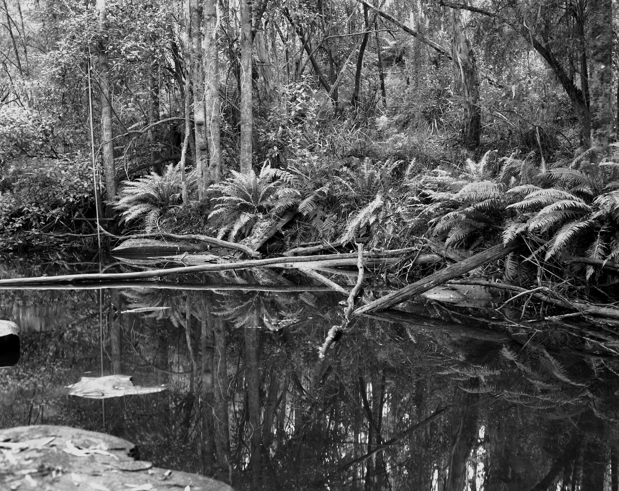 The Photograph Considered number forty four - Wendy Currie - View ...