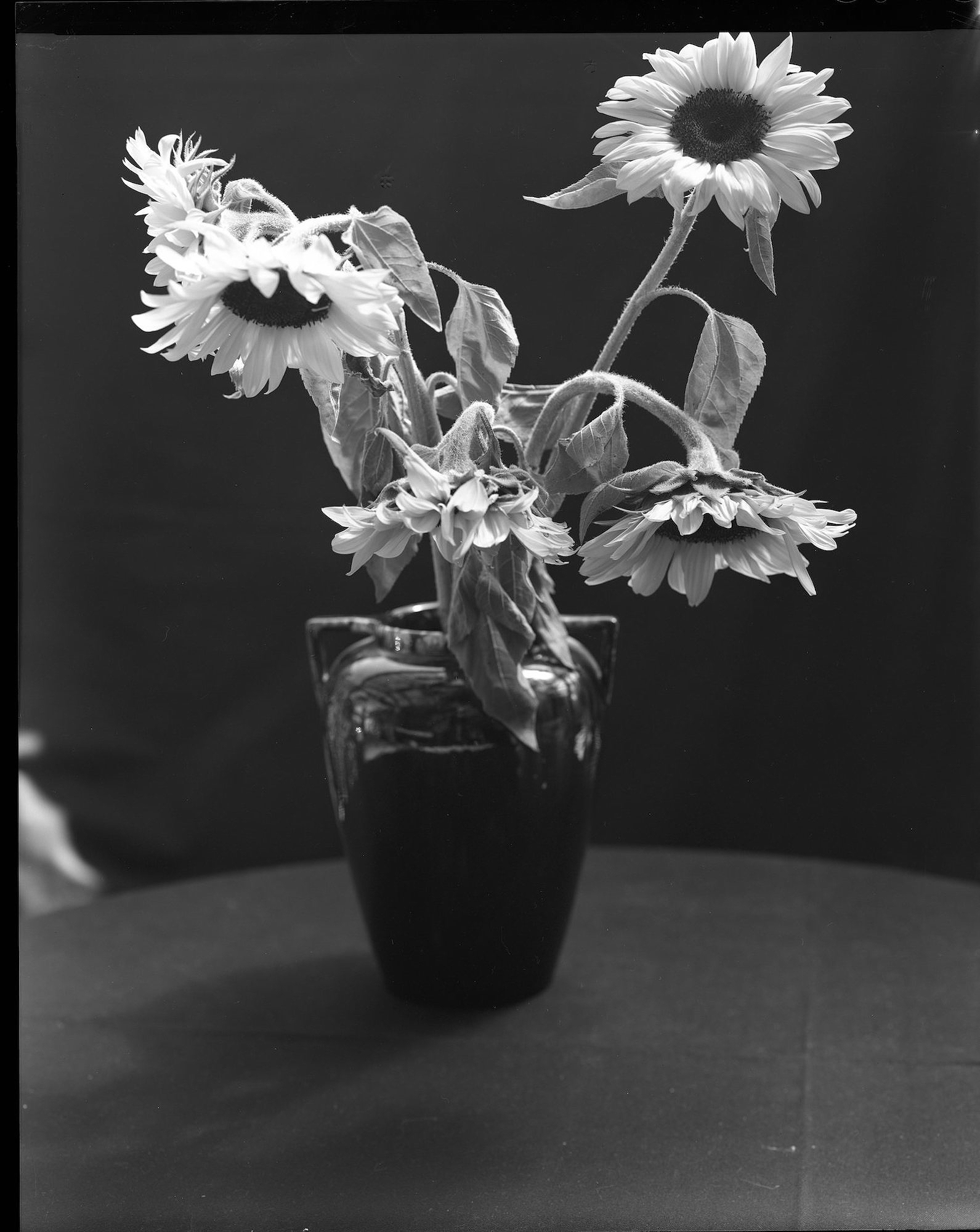 View Camera Australia: Online exhibition March 2023 - View Camera Australia